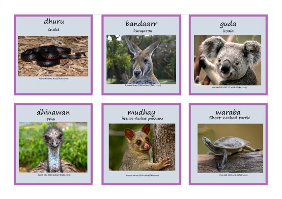 Winanga-Li Aboriginal Child & Family Centre - Dhii (animals)